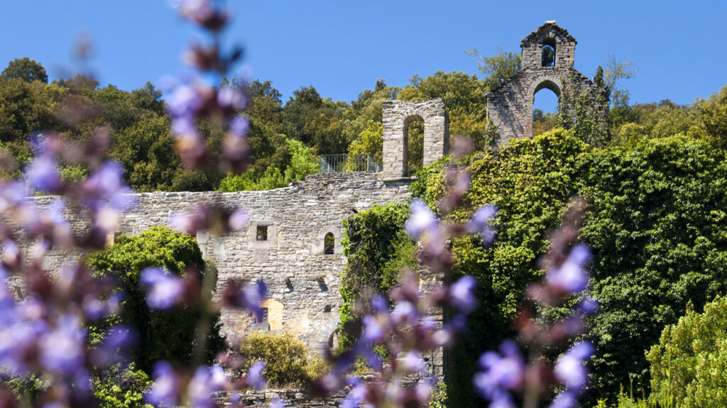 Jardín Botánico de Santa Catalina . BASQUE CAPITAL - KULTURA.